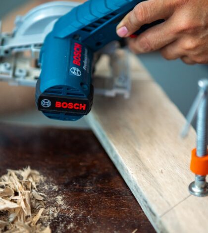 Tout savoir sur les fraises à bois - Next Post