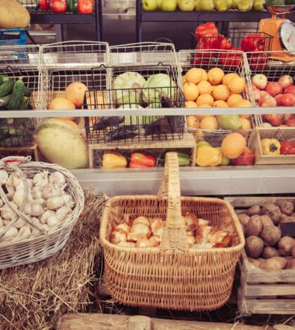 Quels sont les aliments les plus riches en vitamines B6 - Next Post