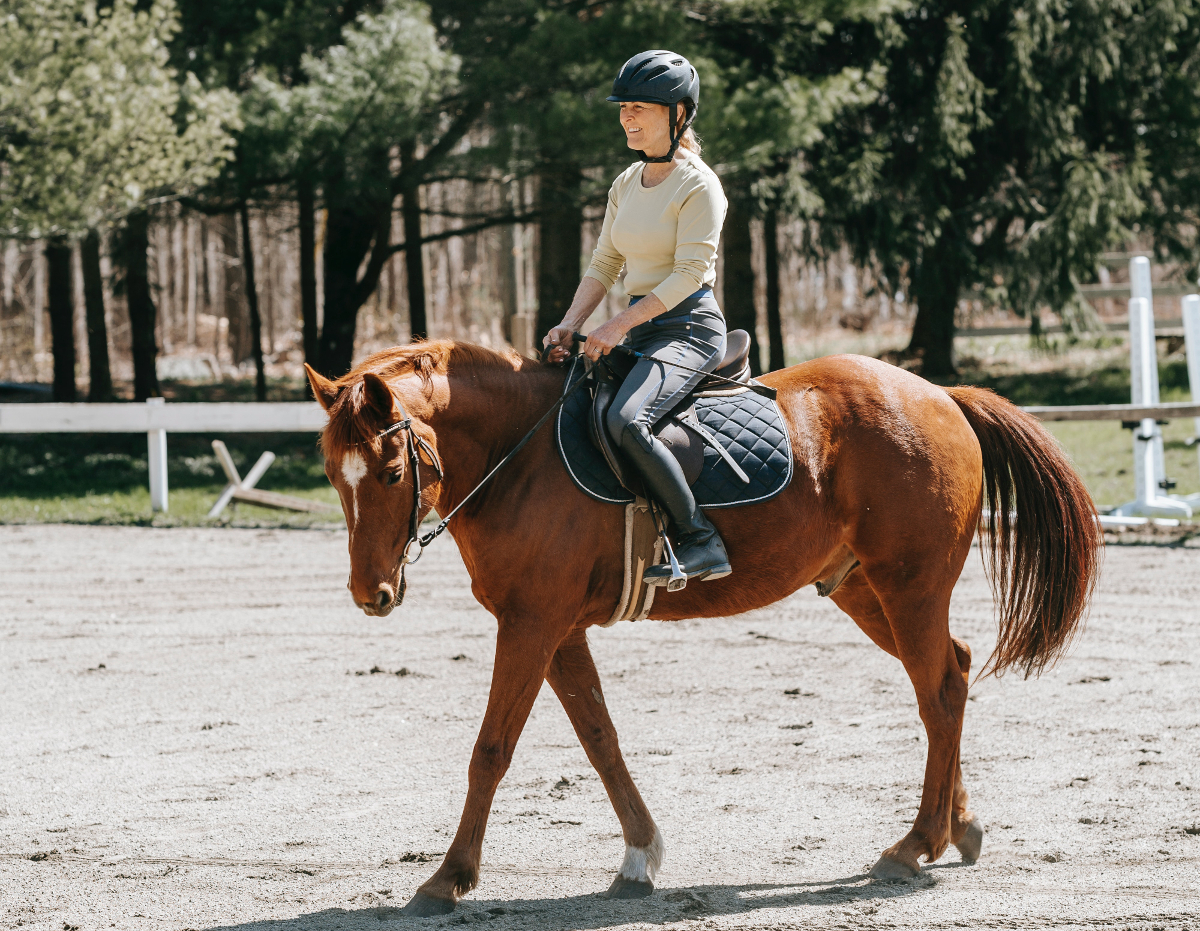 Quels sont les équipements d'équitation pour débuter le cheval ? - Next ...