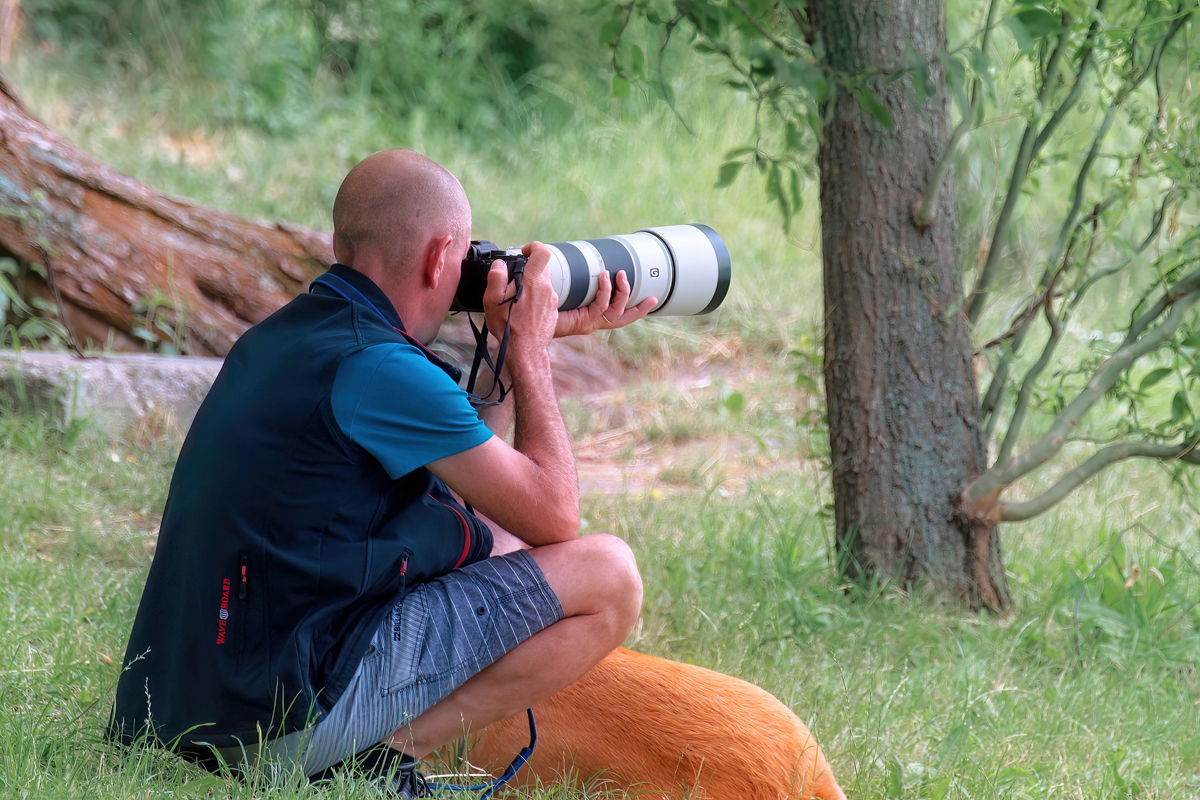 Animaux d'Islande : 6 conseils pour observer la faune et vie sauvage